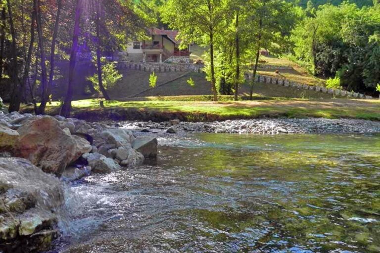 FlyFishing Serbia – Fly Fishing adventure on Gradac river